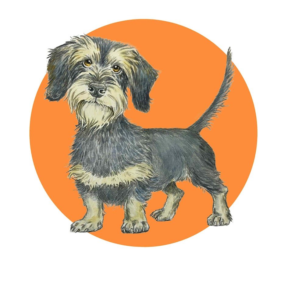 Betty Boo Boo Books & Toys – The Red Foundation Dachshund Rescue